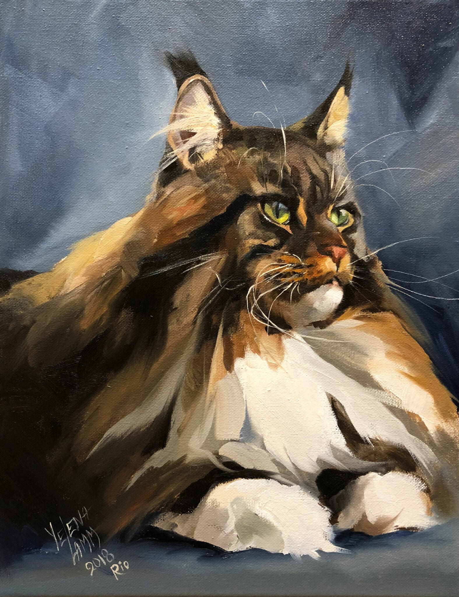 Animals Rule